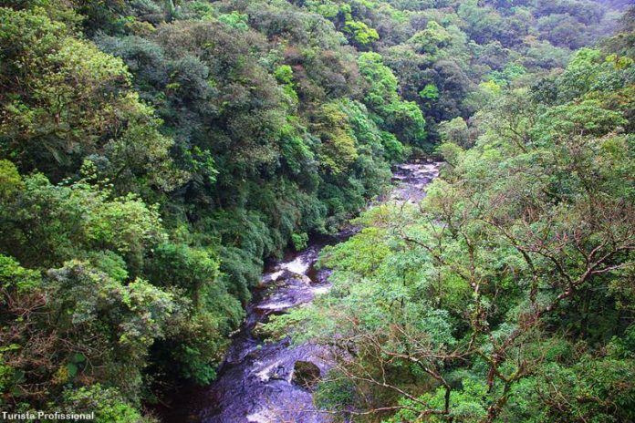Passeio de trem de Curitiba a Morretes, Paraná - Turista Profissional