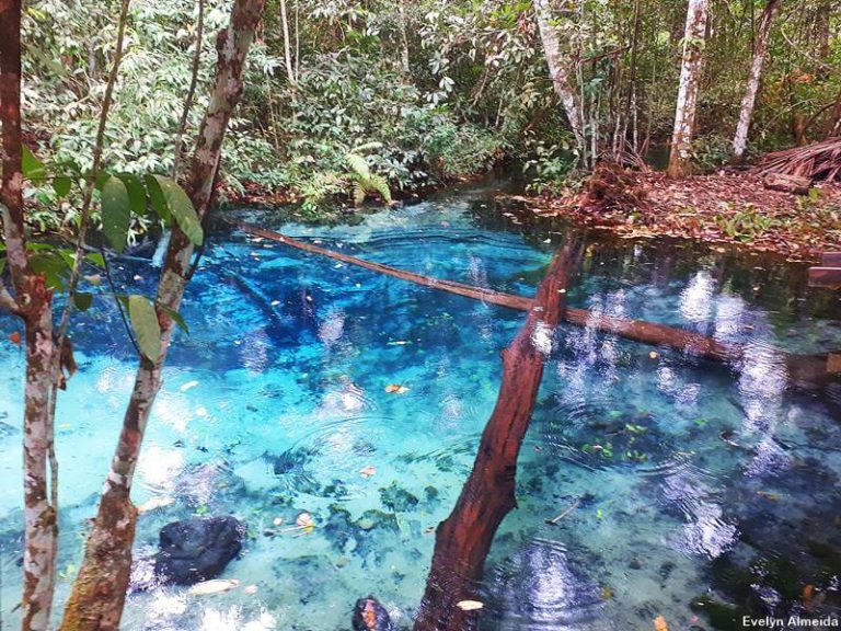 O que fazer em Nobres, no Mato Grosso? - Turista Profissional